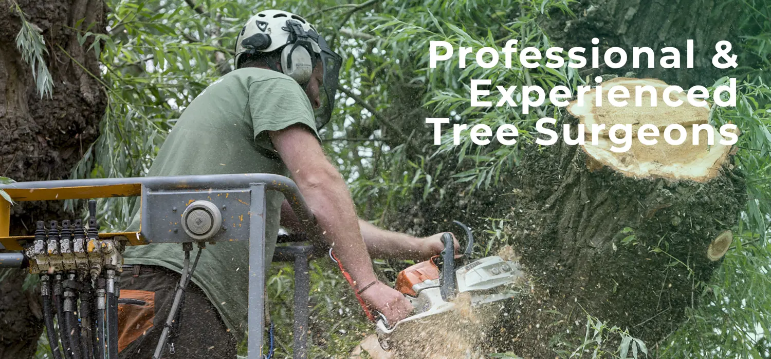 Expert Tree Surgery, Woodland Management and Logs